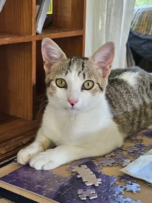 UF SMALL ANIMAL HOSPITAL - Updated May 2025 - 62 Photos & 108 Reviews ...