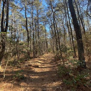 KNIGHT PARK - 18 Photos - Collings Ave Park Ave Browning Rd ...