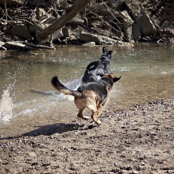 MAROTT PARK - Updated October 2025 - 102 Photos & 24 Reviews - 7350 N ...