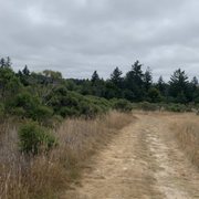 POGONIP - 217 Photos & 36 Reviews - Parks - 333 Golf Club Dr, Santa ...