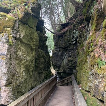 MONO CLIFFS PROVINCIAL PARK - Updated June 2024 - 88 Photos & 10 ...