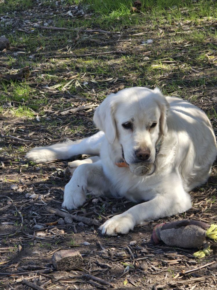 PETER CELLARS - Updated 05/2025 - 122 Photos & 89 Reviews - 21708 ...