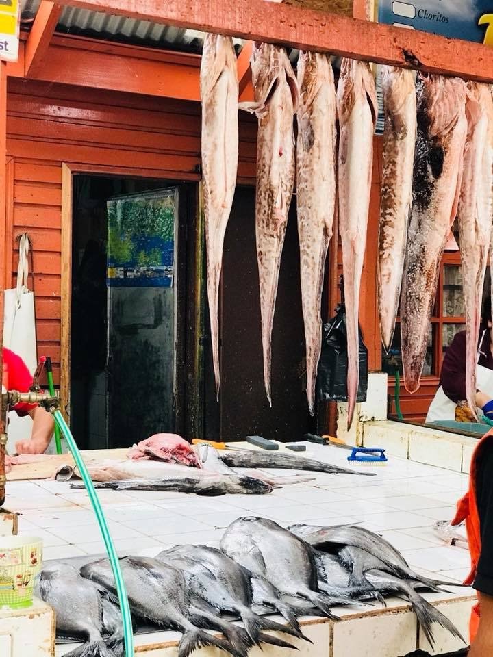 ANGELMO - Updated October 2025 - 10 Photos - Angelmo S/N, Los Lagos ...