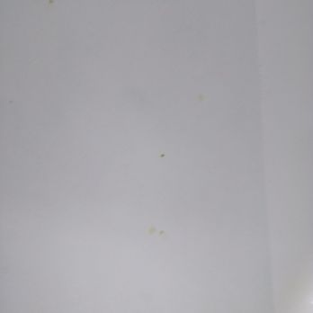 QUALITY INN MILL HALL - LAMAR - Updated October 2025 - 37 Photos & 26 ...