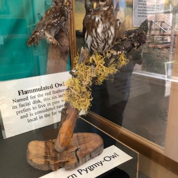 CALIFORNIA RAPTOR CENTER - Updated January 2026 - 58 Photos & 23 ...