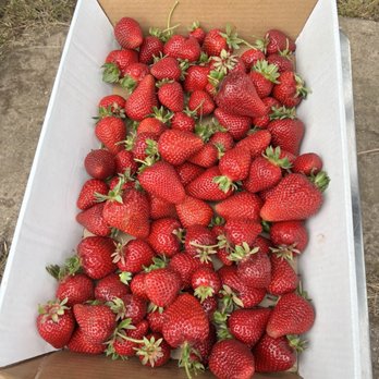 CRYSTAL BAY FARM - Updated December 2025 - 163 Photos & 78 Reviews - 40 ...