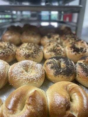 TRI-STATE BAGELS - Updated January 2026 - 65 Photos & 40 Reviews - 708 ...