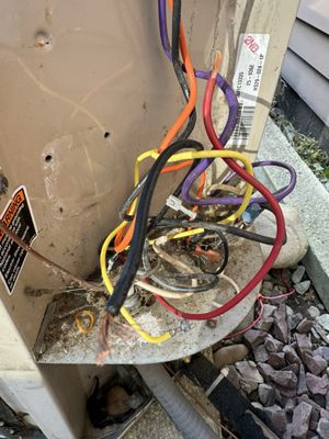 CALFO - Updated January 2026 - 66 Photos - 49 Reviews - 91 Terence Dr ...