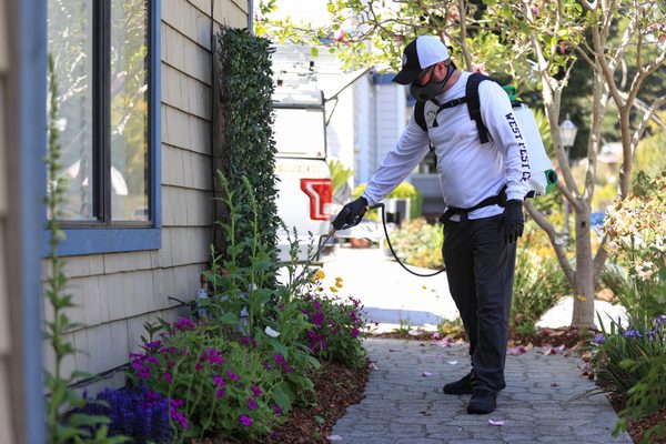 WEST PEST - Updated April 2026 - 16 Photos & 33 Reviews - Watsonville ...