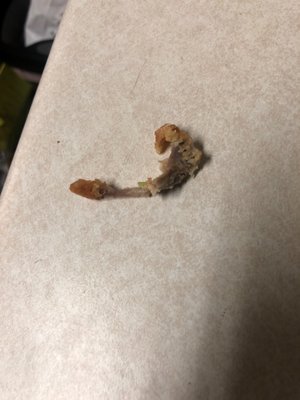 COOK OUT - Updated October 2025 - 20 Photos & 60 Reviews - 1179 Blowing ...