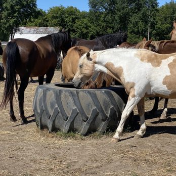 KNOBLOCK RIDING STABLE - Updated October 2025 - 23 Photos & 20 Reviews ...