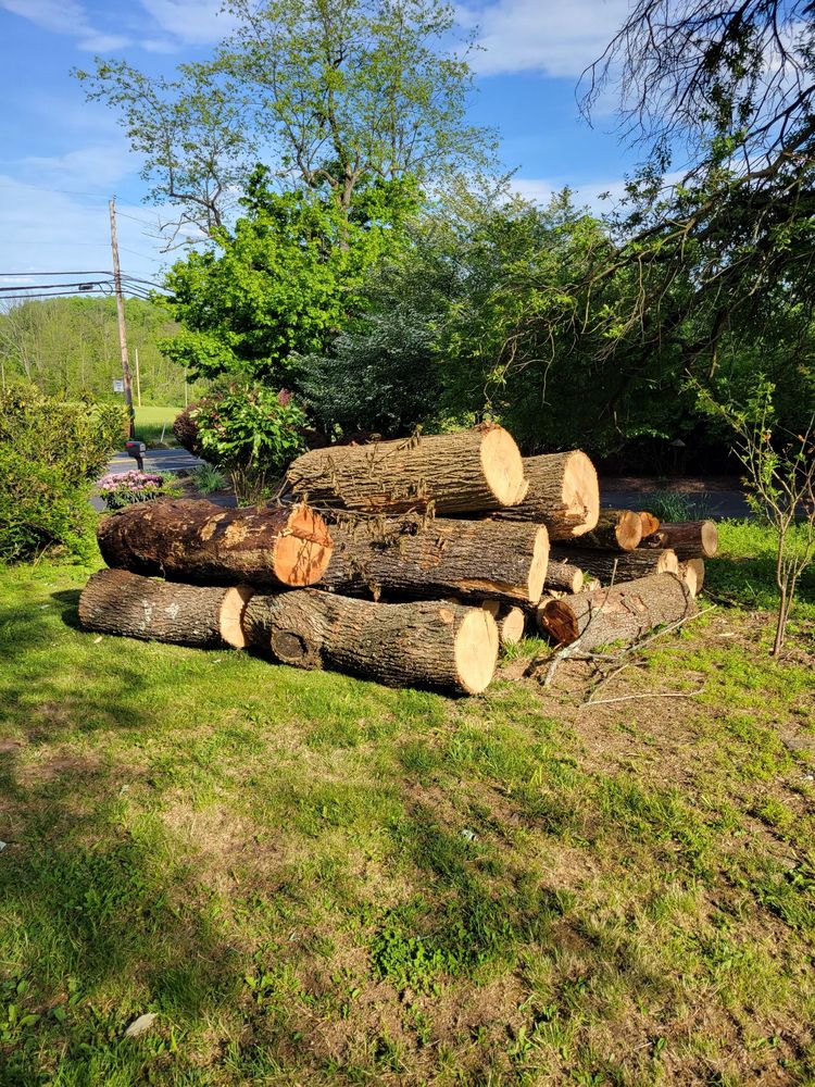 RED SAW TREE SERVICE - Updated January 2026 - 87 St. Peters Rd ...