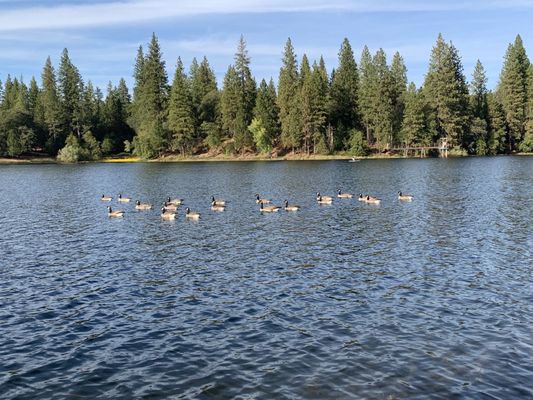 LAKE TABEAUD - Updated January 2026 - 14 Photos & 10 Reviews - Tabeaud ...