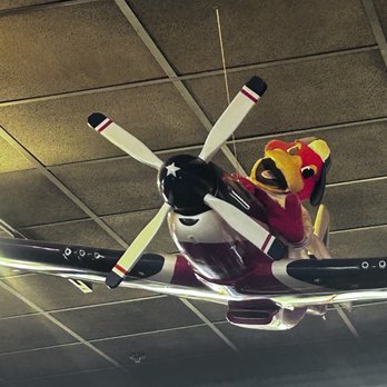 RED ROBIN GOURMET BURGERS AND BREWS - Updated May 2025 - 546 Photos ...