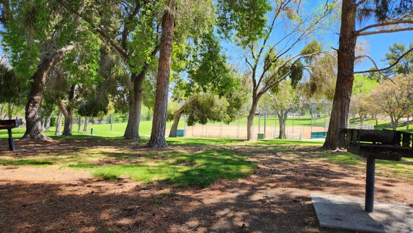 PEARBLOSSOM PARK - Updated January 2026 - 34 Photos & 19 Reviews ...