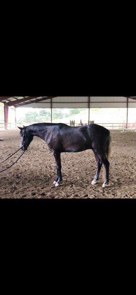 HOBBIT HILL FARM & HORSE STABLES - Updated December 2025 - 12 Photos ...