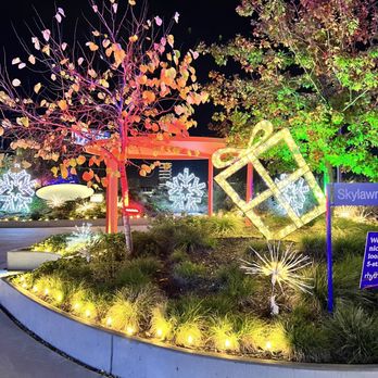 SKYLAWN ROOFTOP AT POST HTX - Updated October 2024 - 135 Photos & 28 ...