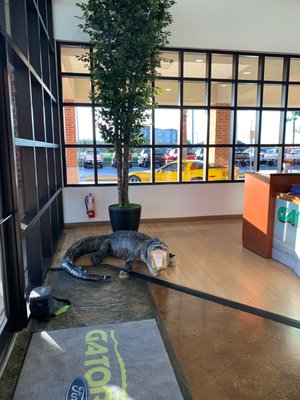 GATOR FORD - Updated August 2025 - 42 Photos & 65 Reviews - 11780 Tampa ...