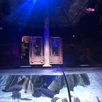 SEA LIFE Arizona Aquarium - 371 Photos & 282 Reviews - Aquariums - 5000 ...