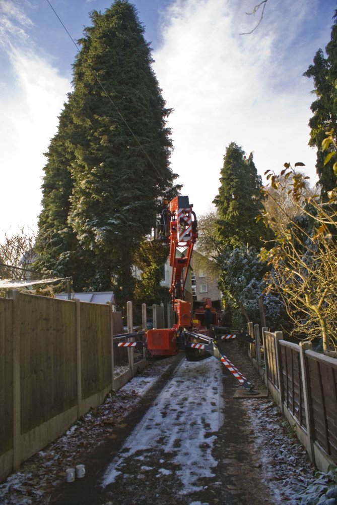 SINCLAIR TREE CARE - Updated December 2025 - 22a Birmingham Rd ...