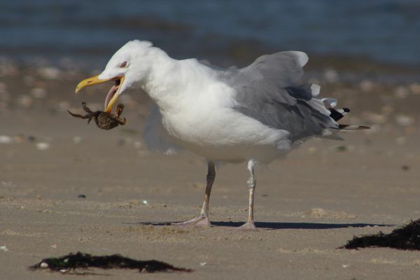 BREEZY POINT TIP - Updated December 2025 - 32 Photos & 13 Reviews ...