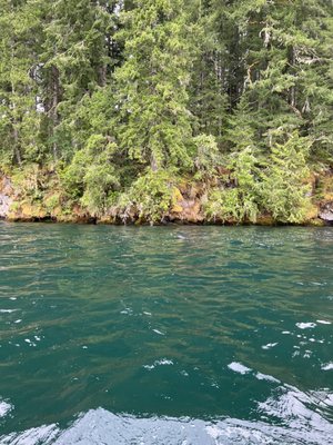 LAKE MERWIN CAMPER’S HIDEAWAY - Updated December 2025 - 10 Photos & 11 ...