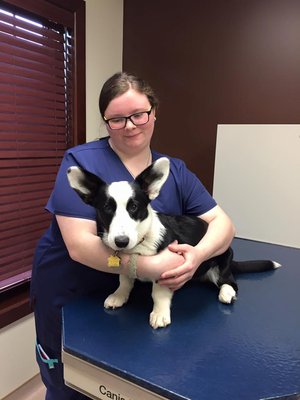 ADORING PETS - Updated July 2026 - 13 Photos & 27 Reviews - 484 Sunset ...