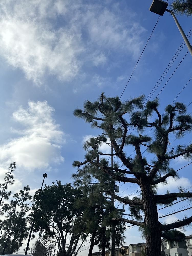 HOLLY PARK - Updated January 2026 - 40 Photos - 2058 W 120th St ...