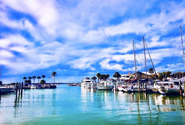 DUNEDIN MARINA - Updated January 2026 - 50 Photos & 10 Reviews - 158 ...