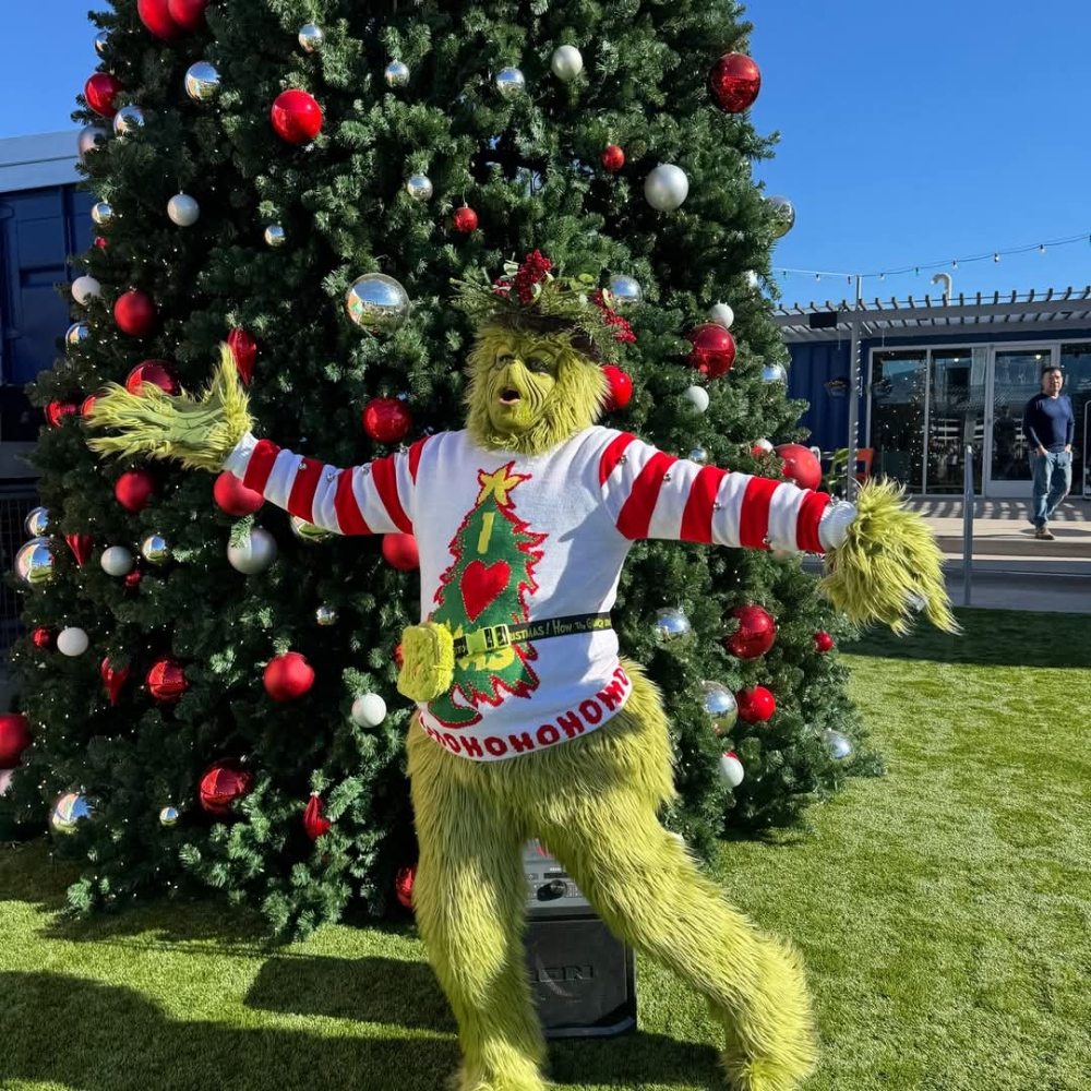 GRINCH ACTOR - Updated December 2024 - 12 Photos - 13101 Lomas Blvd Ne ...