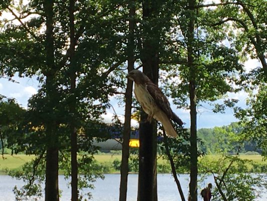 WINGFOOT LAKE STATE PARK - Updated June 2024 - 31 Photos & 12 Reviews ...