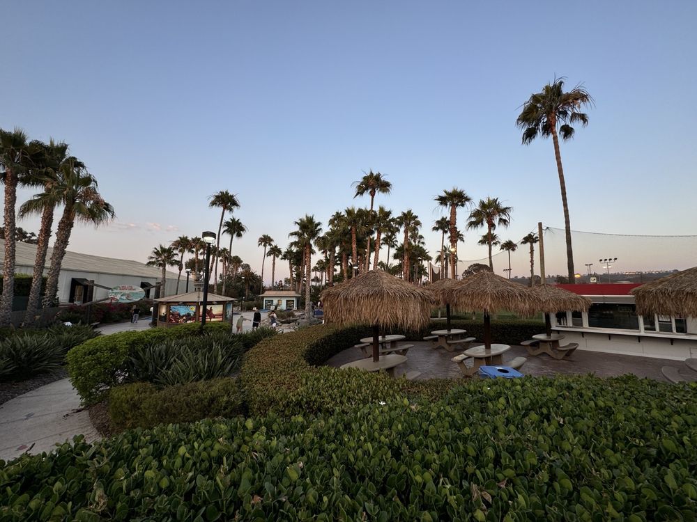 PELLY’S MINI GOLF - Updated December 2025 - 310 Photos & 281 Reviews ...