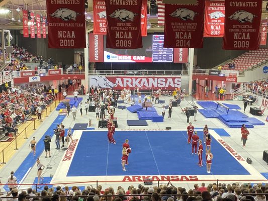 BARNHILL ARENA - Updated December 2025 - 285 N Stadium Dr, Fayetteville ...