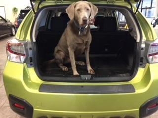 PLANET SUBARU - Updated December 2025 - 26 Photos & 193 Reviews - 596 ...