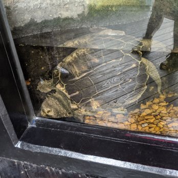 MISSISSIPPI MUSEUM OF NATURAL SCIENCE - Updated December 2025 - 229 ...