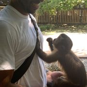 ZOOLOGICAL WILDLIFE FOUNDATION - 834 Photos & 234 Reviews - Zoos ...