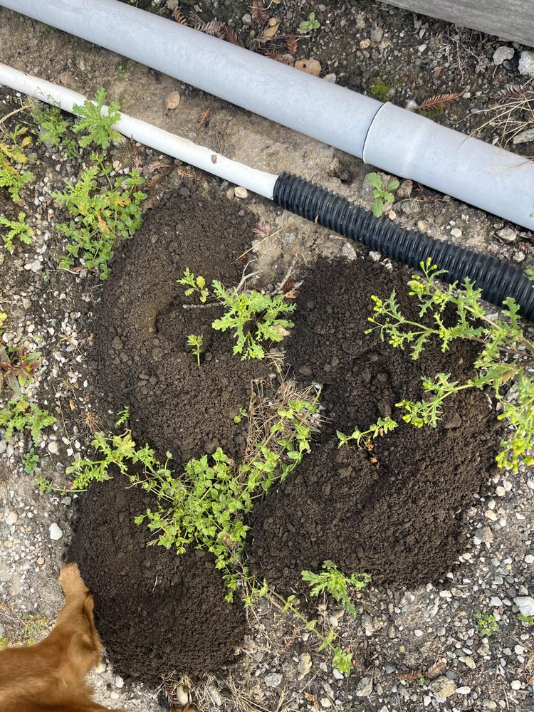 THE GOPHER GAL - Updated December 2025 - 15 Photos - Santa Cruz ...