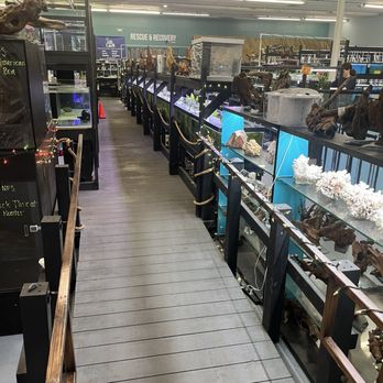 FLOATING SEA AQUATICS - Updated December 2025 - 290 Photos & 65 Reviews ...