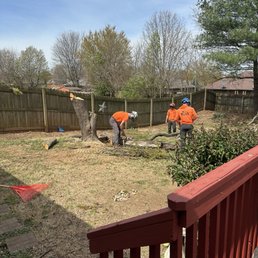 Ryan Lawn & Tree Reviews | Read Customer Service Reviews of ryanlawn.com