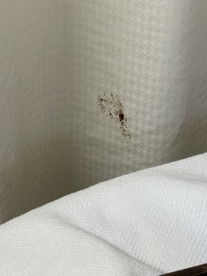 THE REDWOODS POST-ACUTE - Updated January 2026 - 27 Photos & 17 Reviews ...