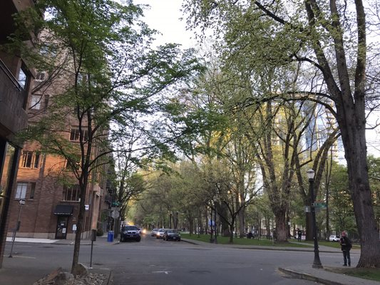 SOUTH PARK BLOCKS - 53 Photos & 26 Reviews - SW Park And Salmon St ...