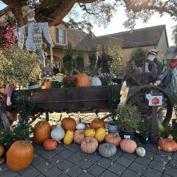 ALDEN LANE NURSERY - Updated December 2025 - 430 Photos & 234 Reviews ...