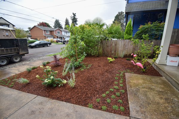 PRESTIGE LANDSCAPE & TREE SERVICE - Updated November 2024 - 310 Photos ...