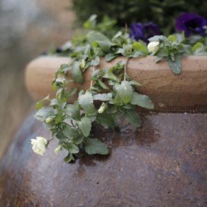 SKITTS MOUNTAIN FARMS - Updated October 2025 - 42 Photos - 7883 GA-254 ...