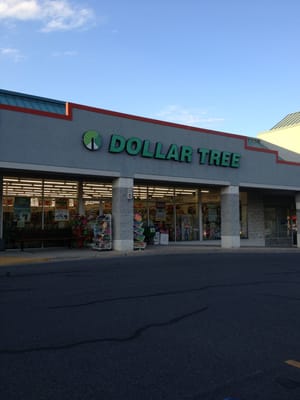 DOLLAR TREE - Updated November 2024 - 325 W Freedom Ave, Burnham ...