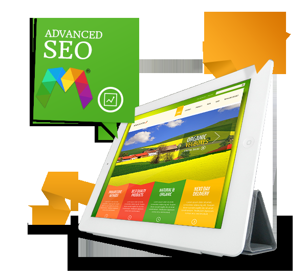 WEB STUDIO MONACO - Beverly Hills, California - Web Design - Phone ...