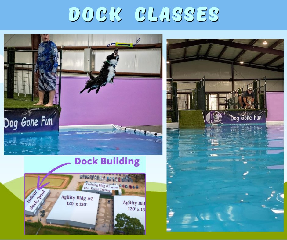 DOG GONE FUN AGILITY - Updated November 2025 - 10 Photos - 26310 Dobbin ...