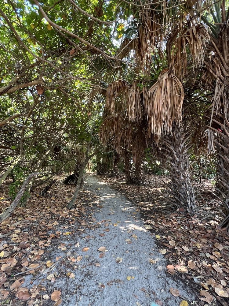 STUART BEACH - Updated December 2025 - 110 Photos & 19 Reviews - 889 NE ...