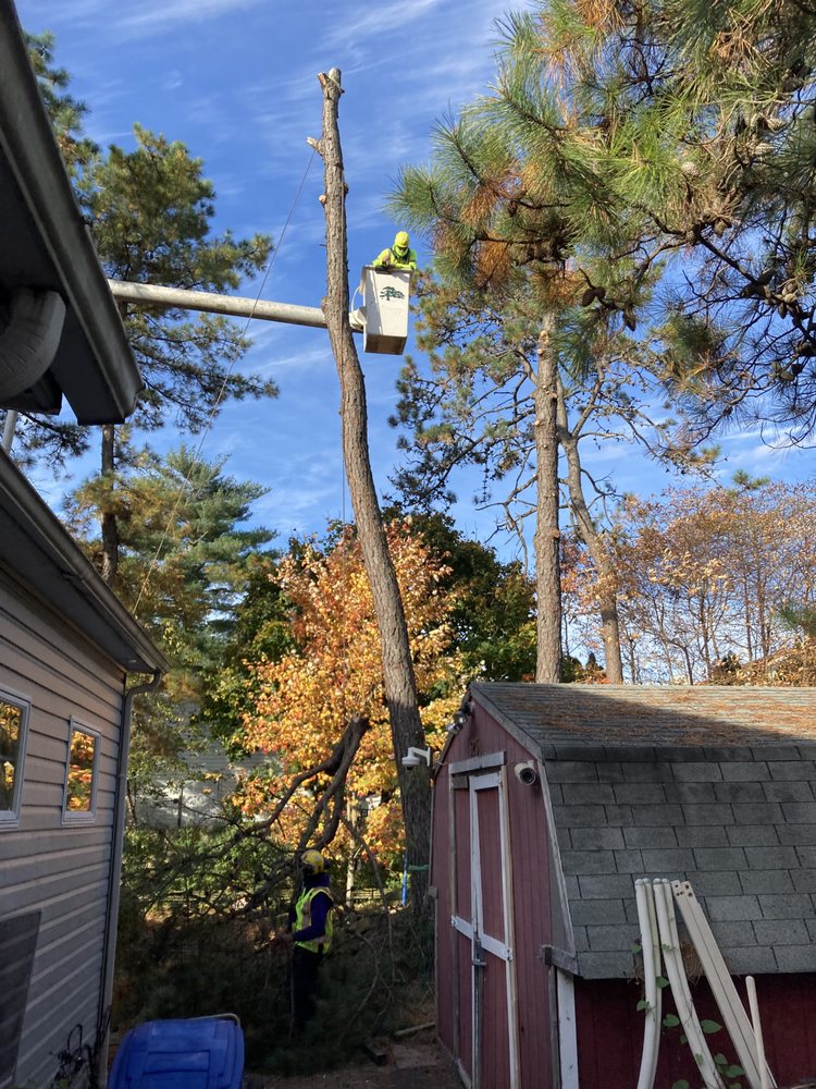 TRINITY TREE EXPERTS & LANDSCAPING - Updated October 2025 - 346 River ...