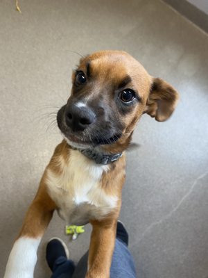 ANDERSON HUMANE - 46 Photos & 57 Reviews - 1000 S La Fox St, South ...